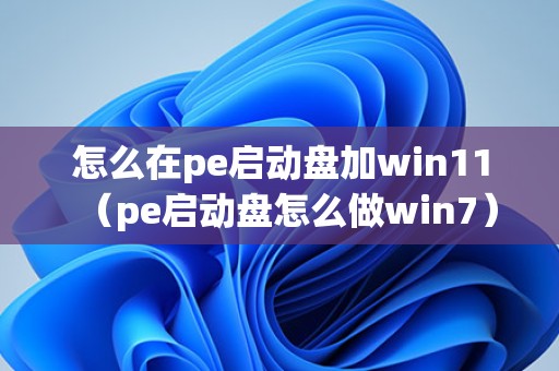 怎么在pe启动盘加win11（pe启动盘怎么做win7） - 4425教程网
