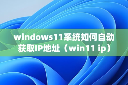 windows11系统如何自动获取IP地址（win11 ip） - 4425教程网