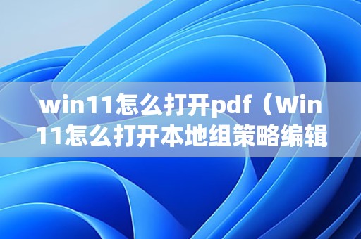win11怎么打开pdf（Win11怎么打开本地组策略编辑器） - 4425教程网