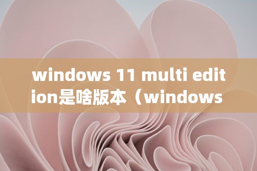windows 11 multi edition是啥版本（windows 11 insider preview版本） - 4425教程网