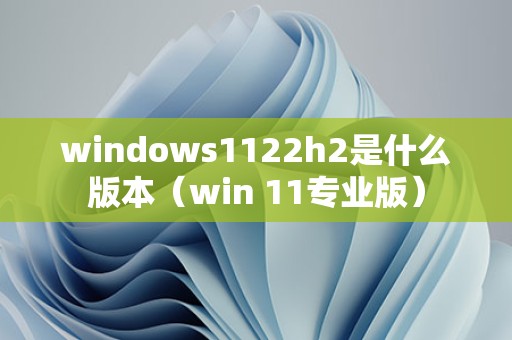 windows1122h2是什么版本（win 11专业版） - 4425教程网