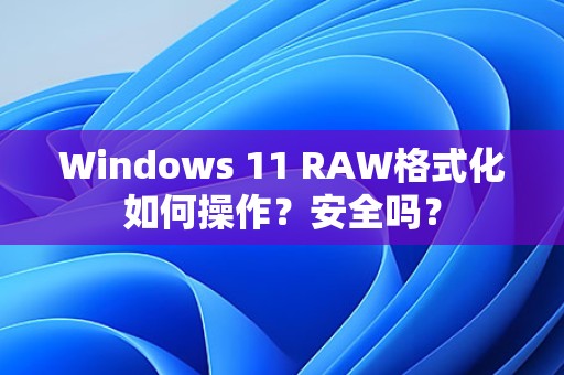 Windows 11 RAW格式化如何操作？安全吗？ - 4425教程网