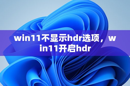 win11不显示hdr选项，win11开启hdr - 4425教程网