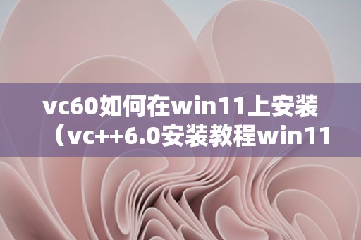 vc60如何在win11上安装（vc++6.0安装教程win11） - 4425教程网