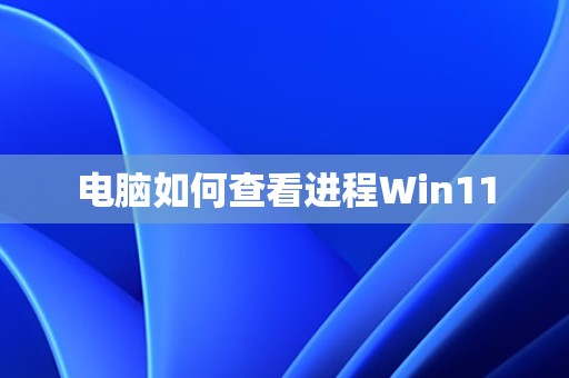 电脑如何查看进程Win11 - 4425教程网
