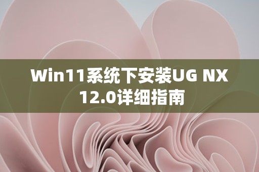 Win11系统下安装UG NX 12.0详细指南 - 4425教程网