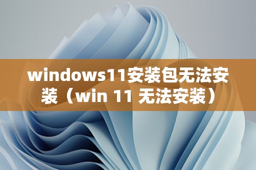windows11安装包无法安装（win 11 无法安装） - 4425教程网