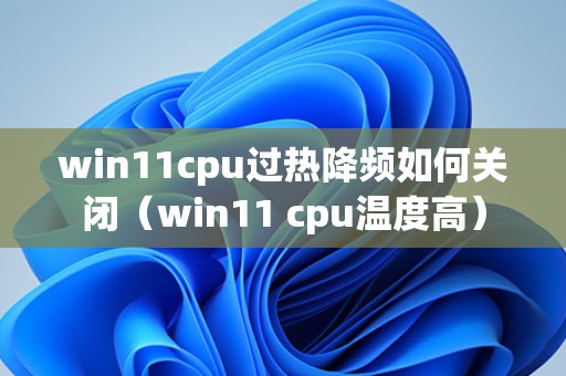 win11cpu过热降频如何关闭（win11 cpu温度高） - 4425教程网