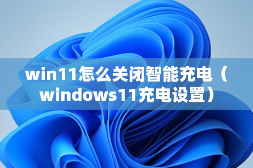 win11怎么关闭智能充电（windows11充电设置） - 4425教程网