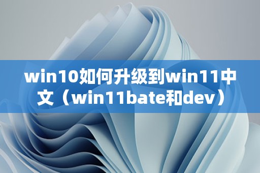 win10如何升级到win11中文（win11bate和dev） - 4425教程网