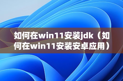 如何在win11安装jdk（如何在win11安装安卓应用） - 4425教程网