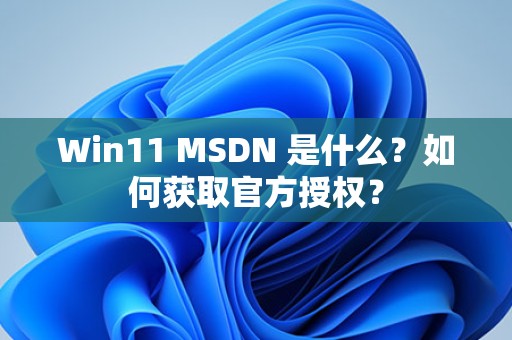Win11 MSDN 是什么？如何获取官方授权？ - 4425教程网