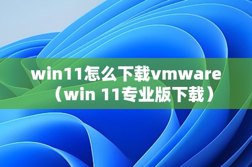 win11怎么下载vmware（win 11专业版下载） - 4425教程网
