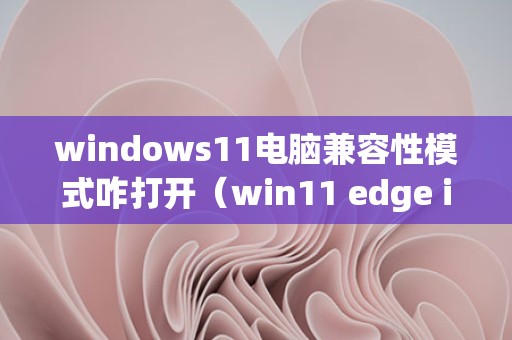 windows11电脑兼容性模式咋打开（win11 edge ie兼容模式） - 4425教程网