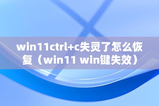 win11ctrl+c失灵了怎么恢复（win11 win键失效） - 4425教程网
