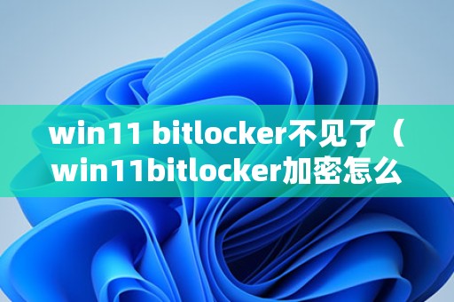 win11 bitlocker不见了（win11bitlocker加密怎么解除） - 4425教程网