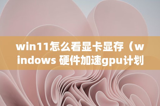 win11怎么看显卡显存（windows 硬件加速gpu计划） - 4425教程网