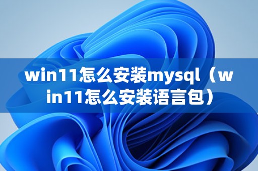 win11怎么安装mysql（win11怎么安装语言包） - 4425教程网