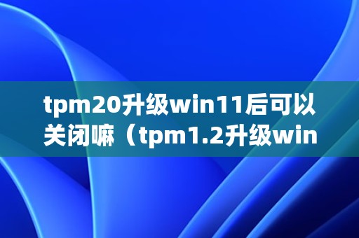 tpm20升级win11后可以关闭嘛（tpm1.2升级win11） - 4425教程网