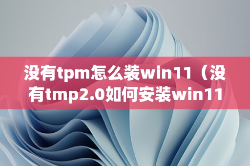 没有tpm怎么装win11（没有tmp2.0如何安装win11） - 4425教程网