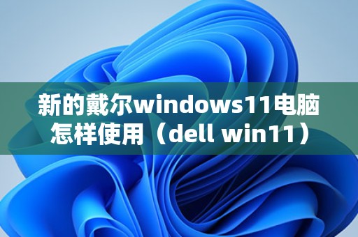 新的戴尔windows11电脑怎样使用（dell win11） - 4425教程网