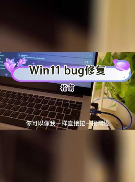 Win11玩游戏bug有哪些？这些bug怎么解决？ - 4425教程网