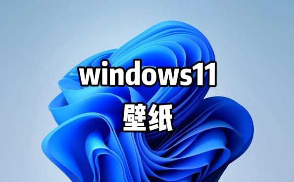 Win11电脑4K内置壁纸是哪些？如何设置？ - 4425教程网