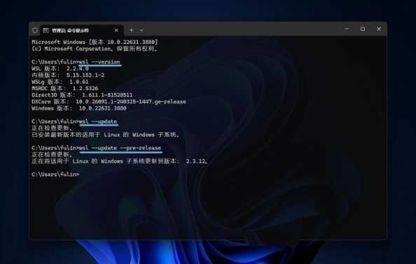 Win11 Wsl 2.0是什么？如何使用它？ - 4425教程网